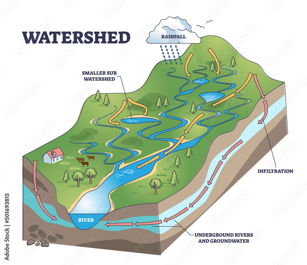 Watershed as water basin system with mountain river streams outline ...