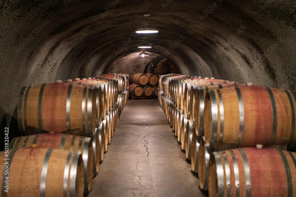 Wine Casks in Storage in a Cold Wine Cellar Underneath a Tuscan-Style ...