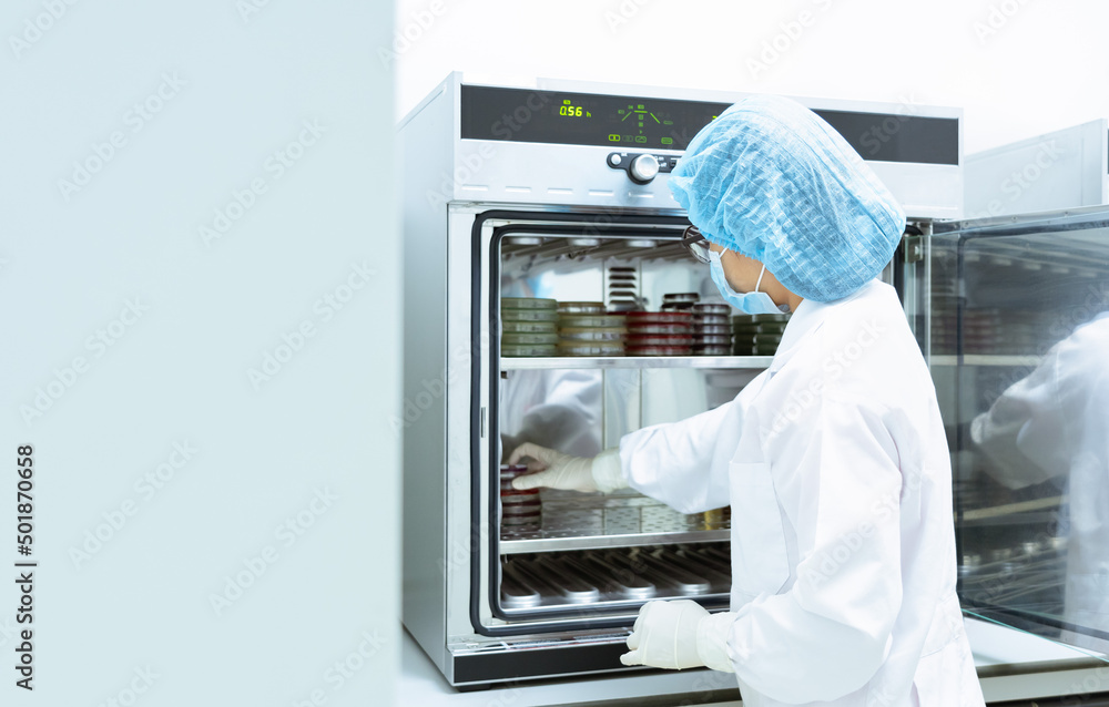 Unidentified microbiologist is place the petri dish and tubes into ...