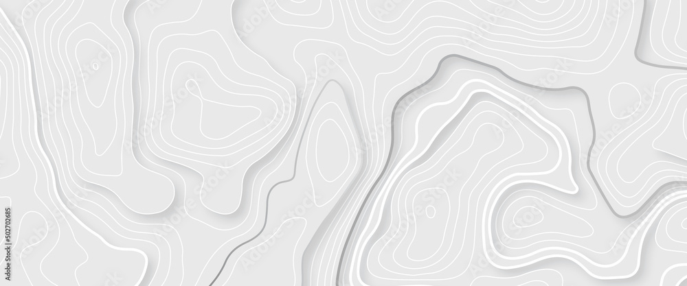 The stylized height of the topographic map in contour, lines. Torn ...