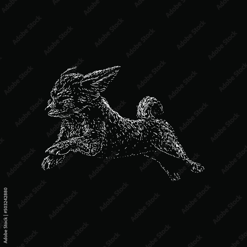 fennec fox hand drawing vector illustration isolated on black ...