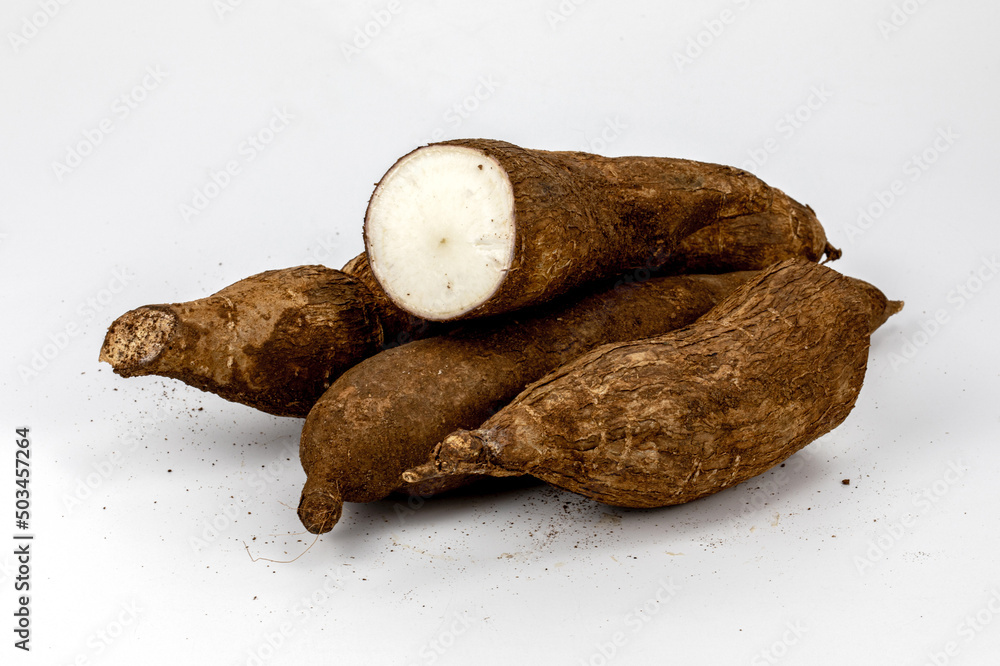 Tapioca / Kappa - roots of the cassava plant, cut and whole isolated in ...