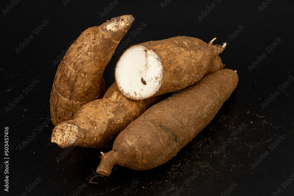 Tapioca / Kappa - roots of the cassava plant, cut and whole isolated in ...