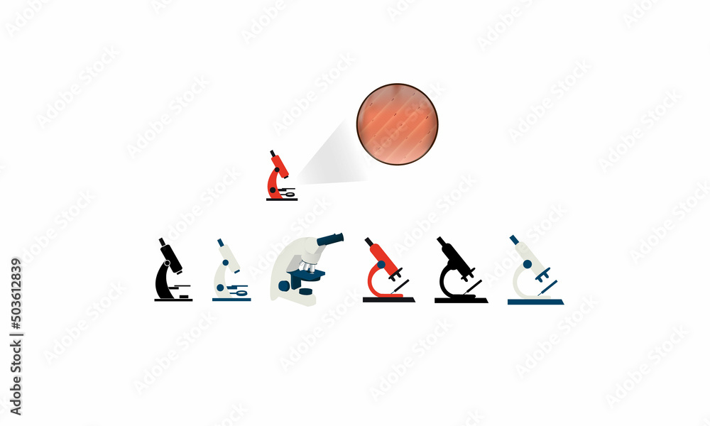 Stock-Foto „muscle tissue under a microscope, microscope different ...