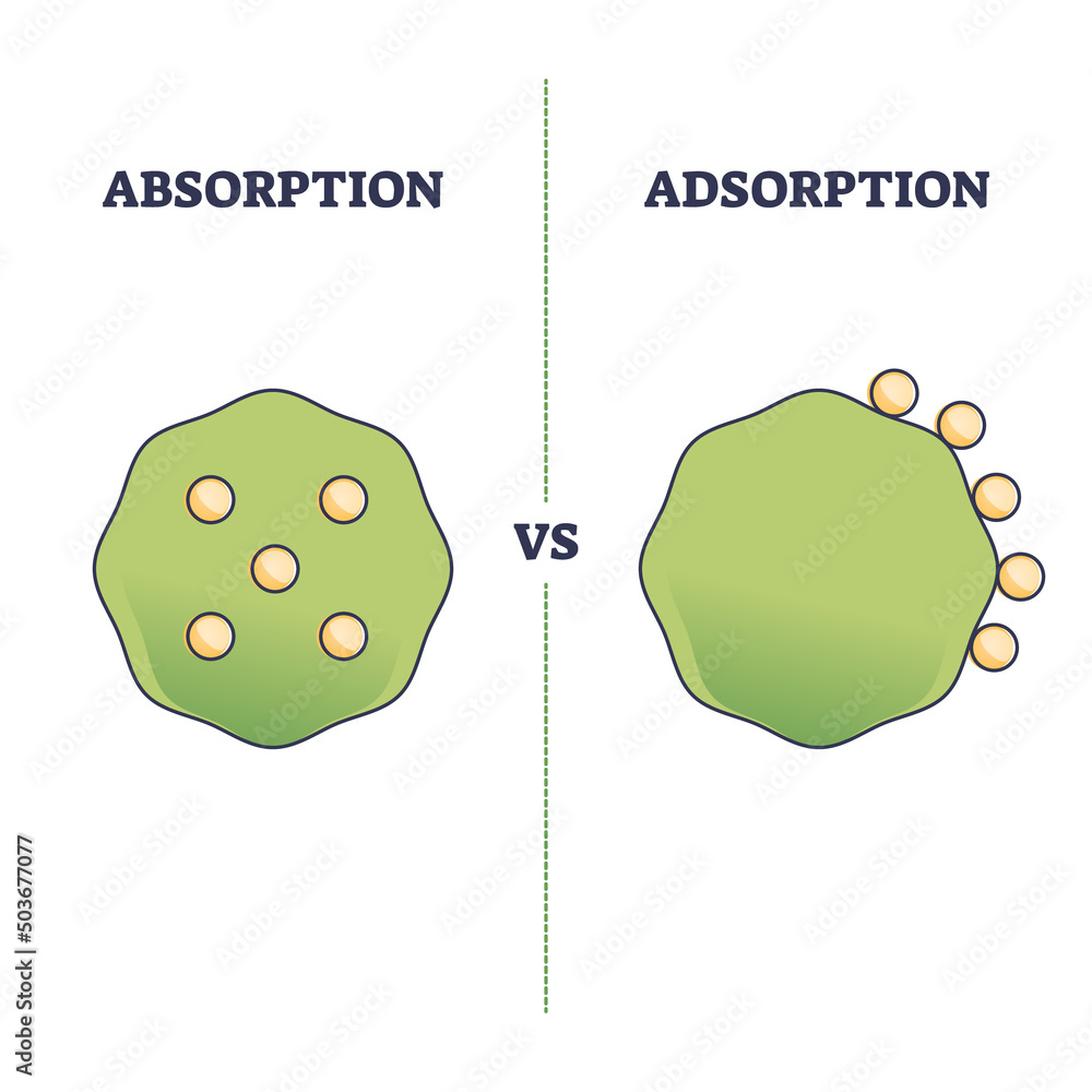 Vector de Stock Absorption vs adsorption differences on molecular ...