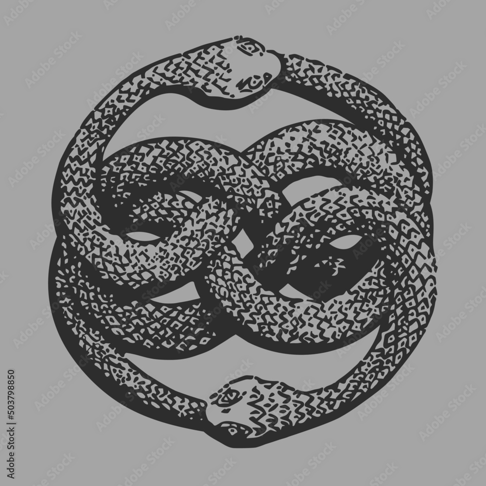 Стоковое векторное изображение «Snakes vector T shirt design. Infinity ...