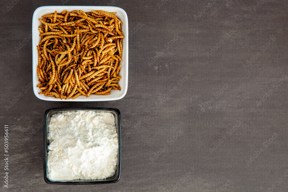 Snack insects. Mealworm larvae as food and a bowl with flour. Mealworms ...