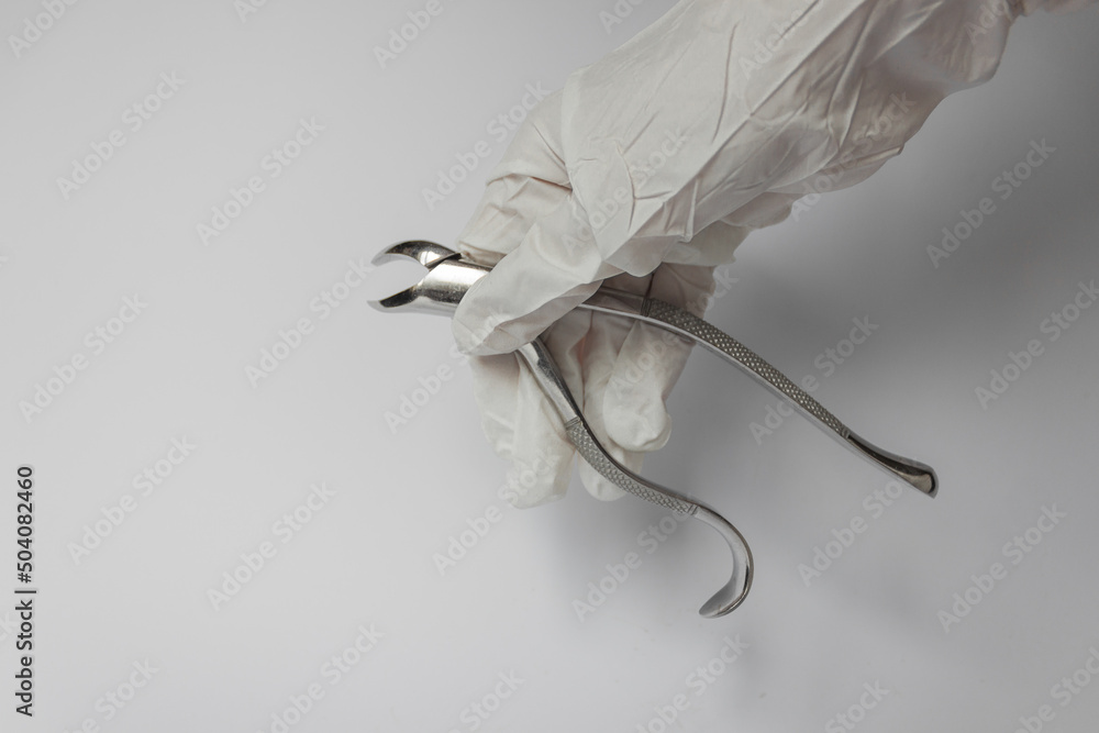 Human hand in white glove holds a dental extraction forceps. White ...