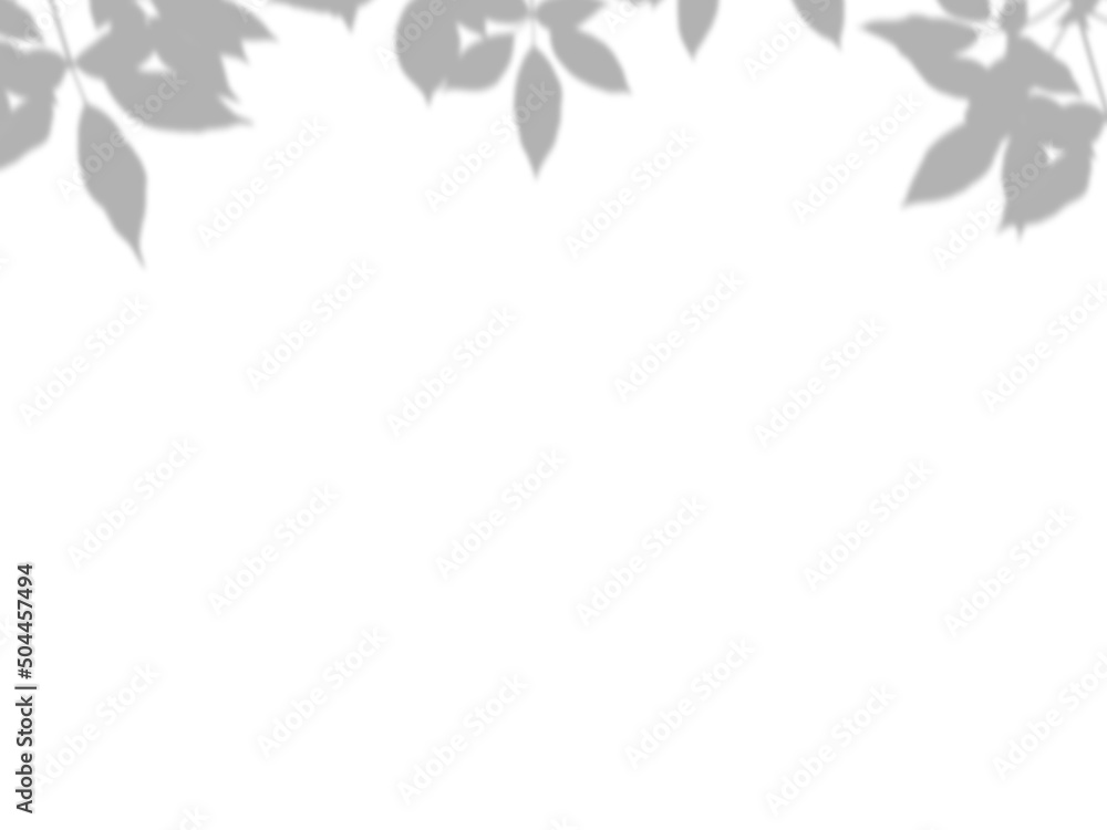 Botanic shadows overlay, Photoshop overlay, Plant tree flower Shadow ...