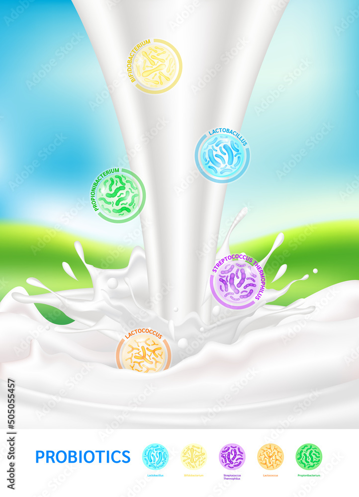 Probiotics lactic acid bacterium in milk, yogurt. Bifidobacterium ...