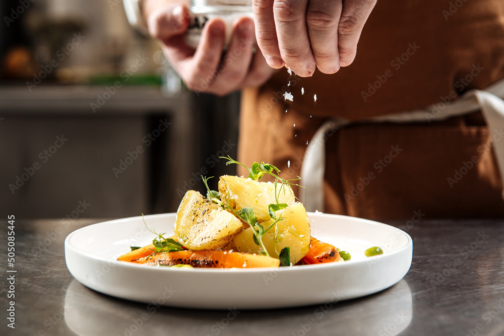 Chef's hand sprinkles cooked gourmet dish with salt Stock Photo | Adobe ...