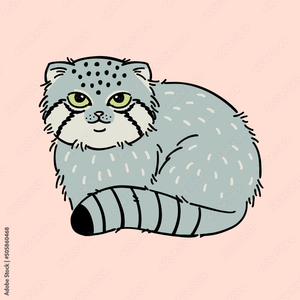 Pallas cat illustration - vector Stock Vector | Adobe Stock