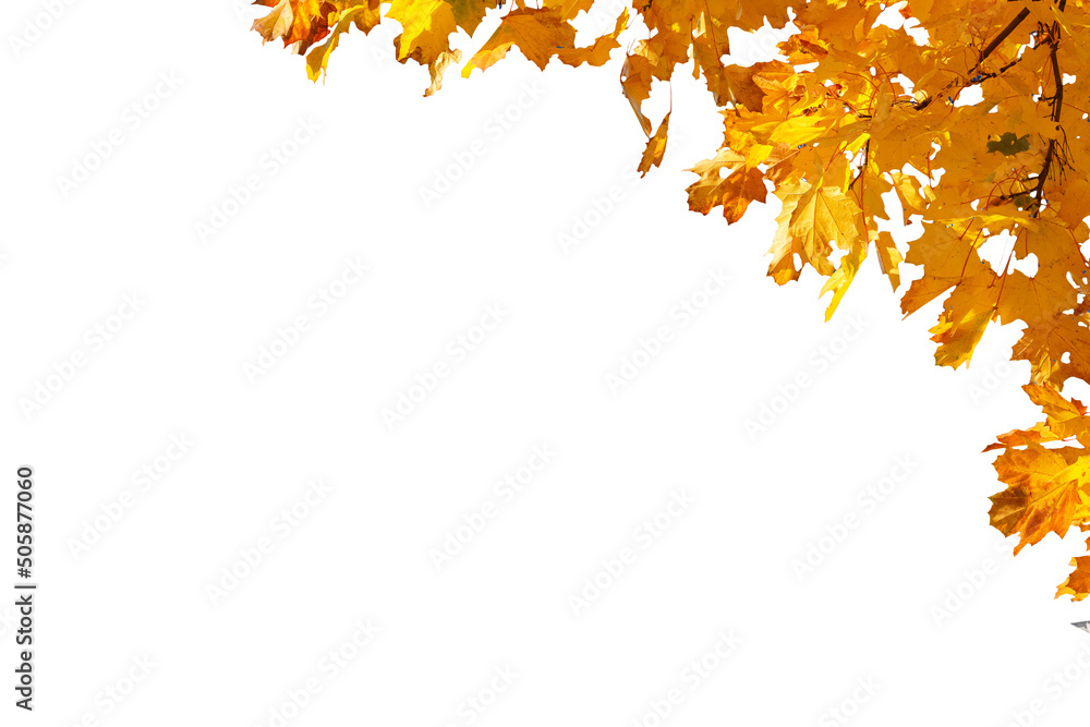 Autumn Set Photo Overlays Falling Leaves, fog, rain, sun, light ...