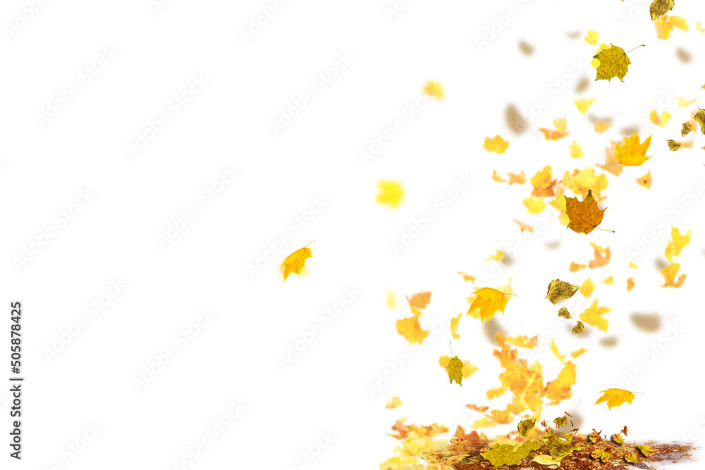 Autumn Set Photo Overlays Falling Leaves, fog, rain, sun, light ...
