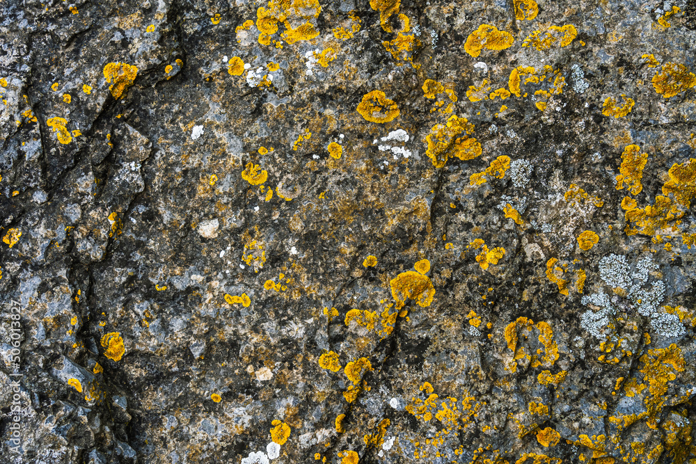 Stones on top of a rock covered with yellow moss on top of a mountain ...