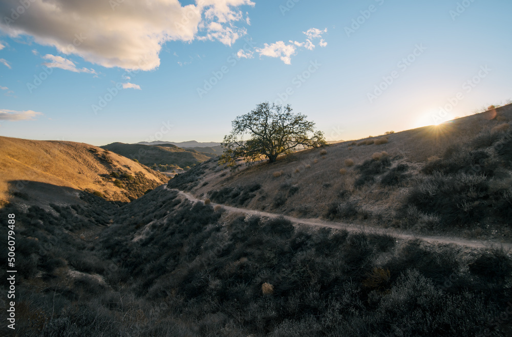 Giant Oak Tree on a Hill in Cheeseboro and Palo Comado Canyon, Santa ...