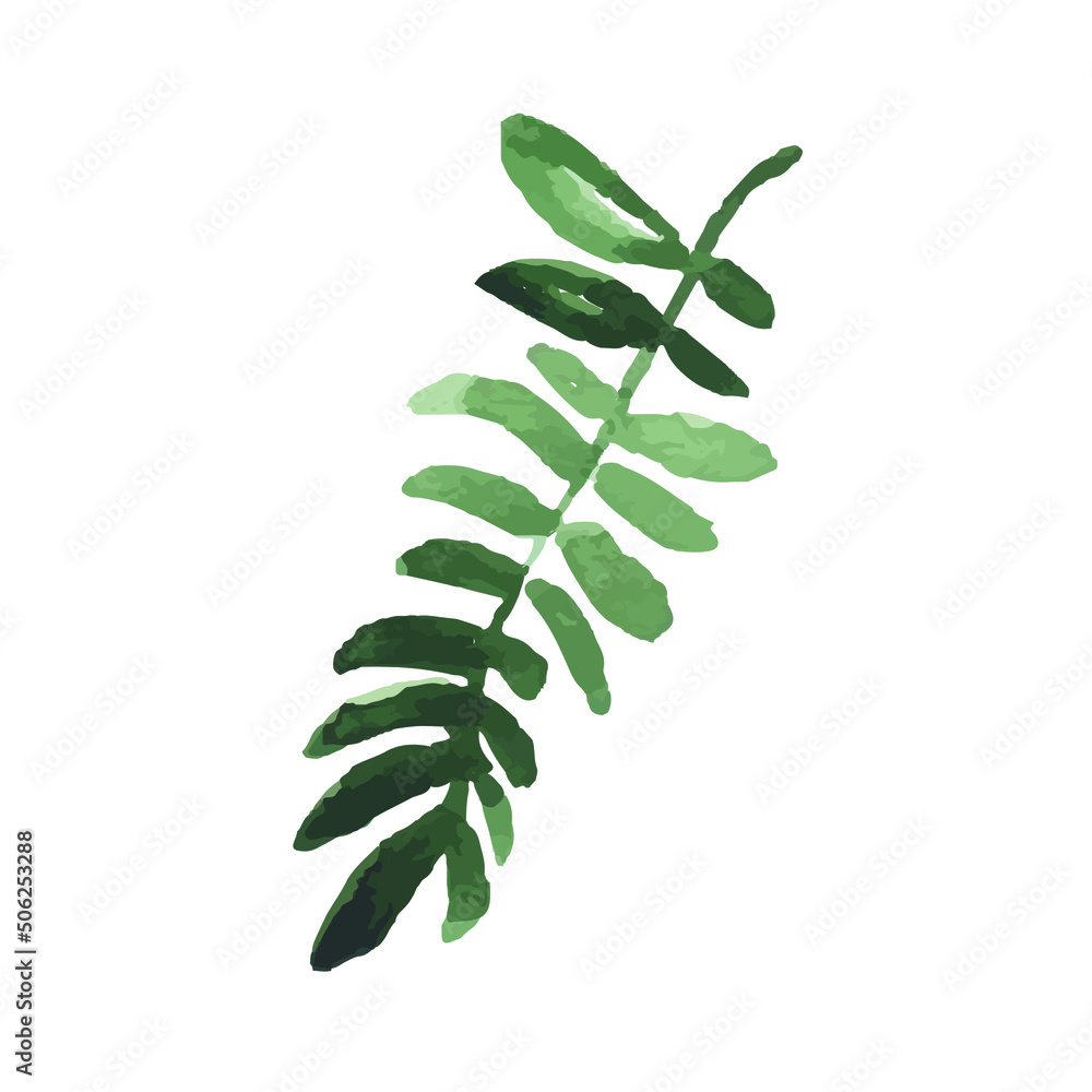 Leaf icons isolated on white background. Logo sign design. Modern brush ...