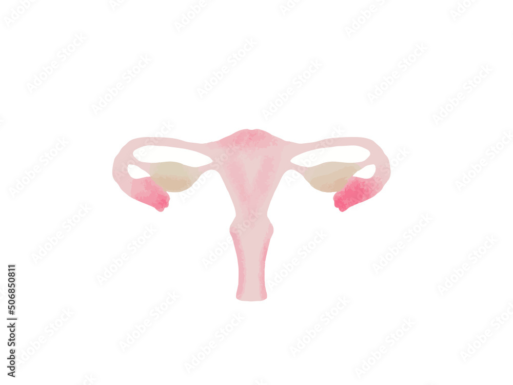 Watercolor illustration of hand painted pink abstract anatomical scheme ...