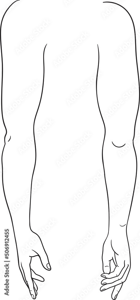 Human arm inner and outer view vector illustration, male anatomy line ...