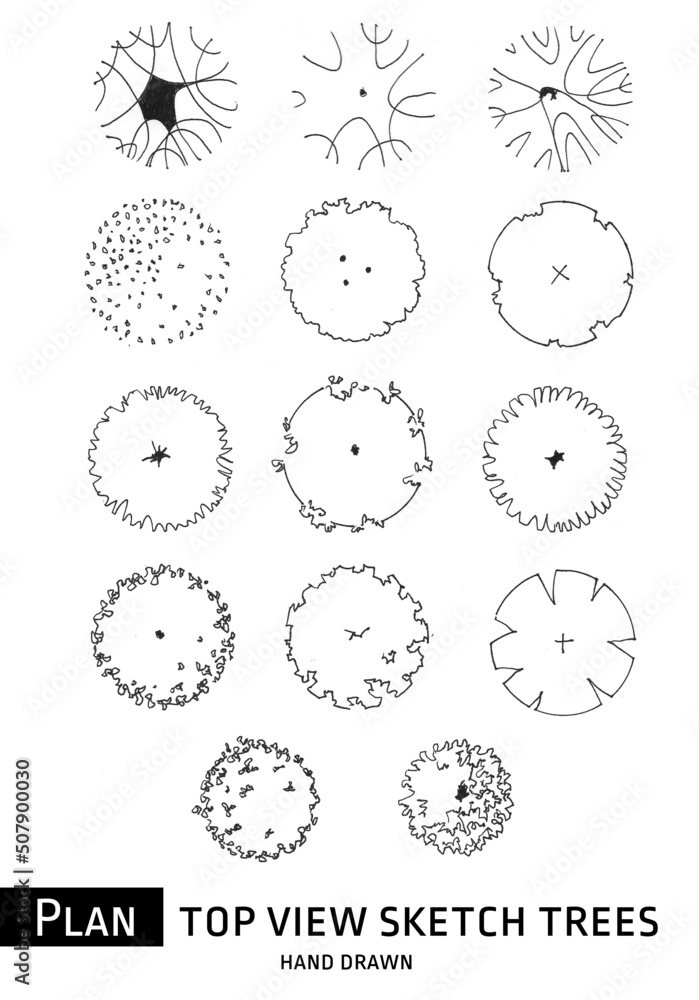 Plan sketch shrub trees nd bushes symbols hands draw. Garden plants top ...
