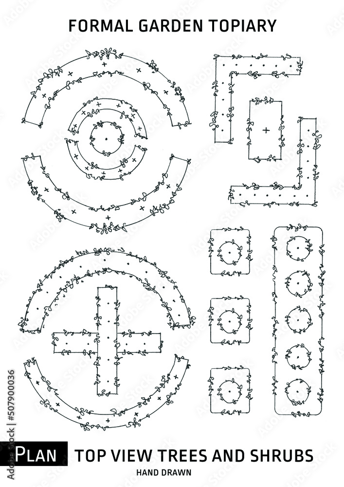 Plan sketch shrub trees nd bushes symbols hands draw. Garden plants top ...