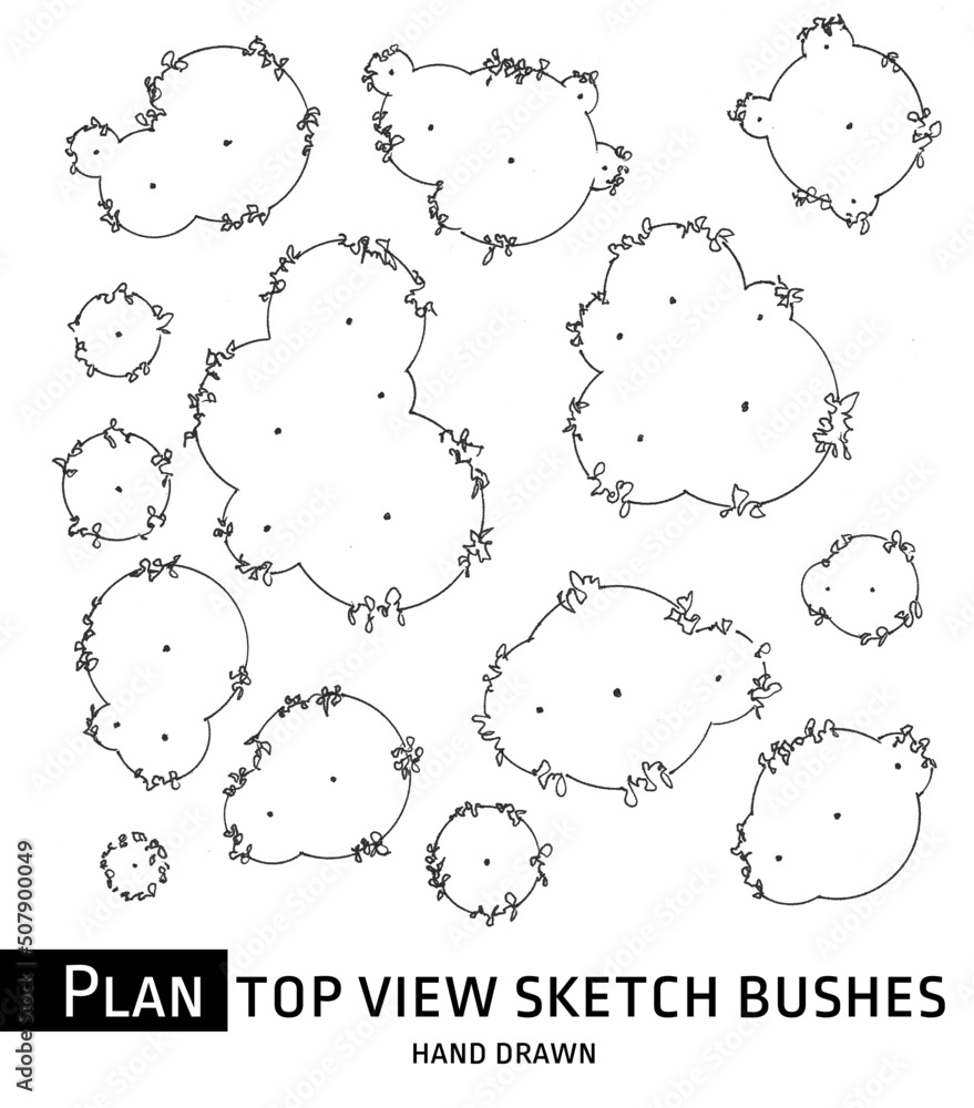 Plan sketch shrub trees nd bushes symbols hands draw. Garden plants top ...