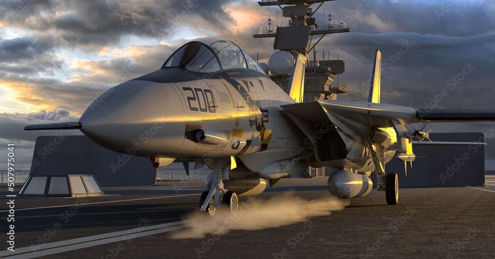 The legendary Grumman F-14 Tomcat - one of the world's most famous ...