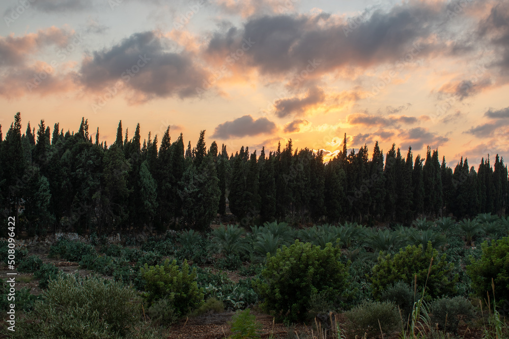 A city images from churches to old historic houses and destinations to ...