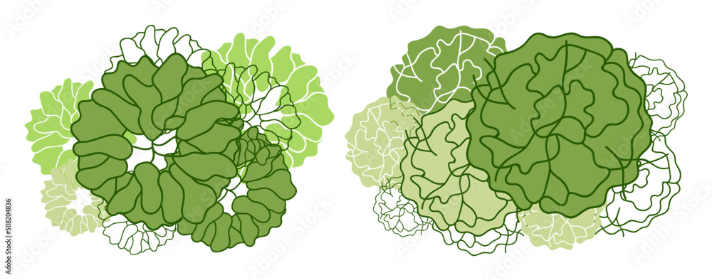 Tree for architectural floor plans. Entourage design. Various trees ...