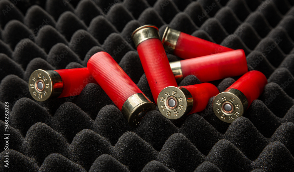 Shotgun shells on foam rubber. Ammunition for 12 gauge smoothbore ...