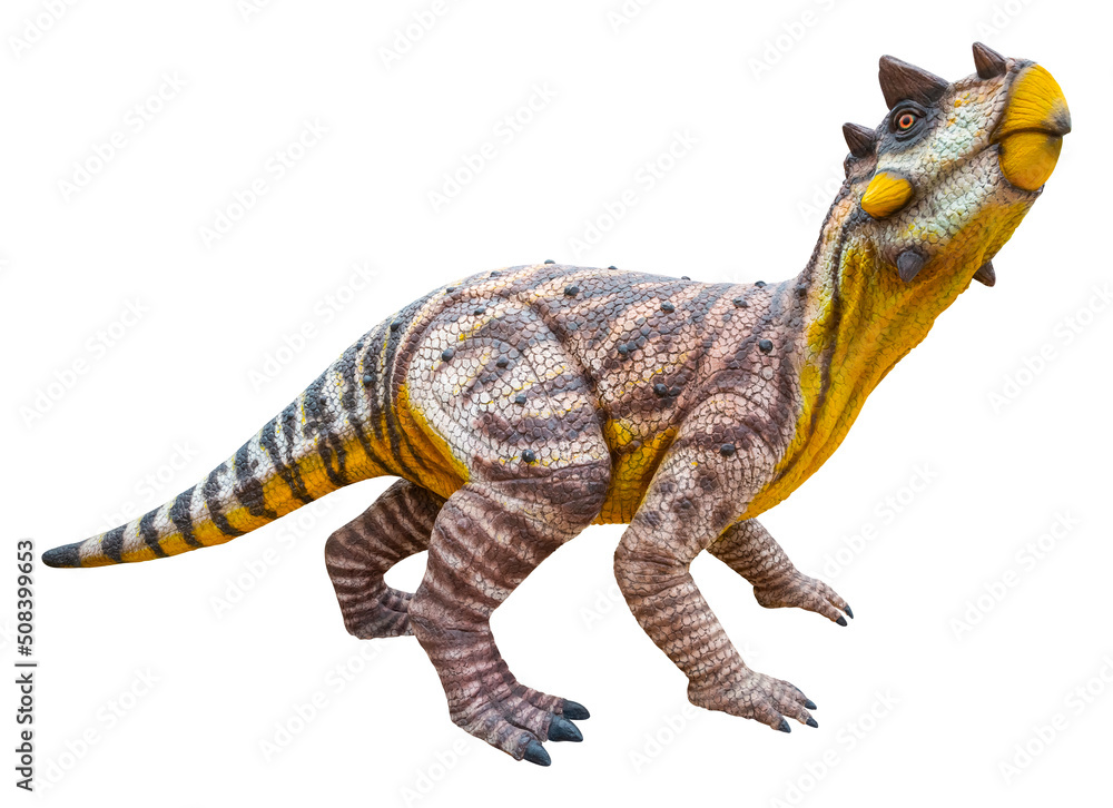 Psittacosaurus Sibiricus is a herbivorous genus of extinct ceratopsian ...