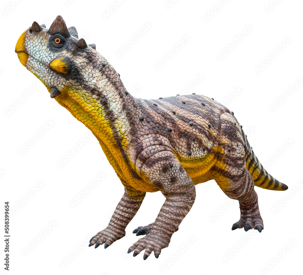 Psittacosaurus Sibiricus is a herbivorous genus of extinct ceratopsian ...