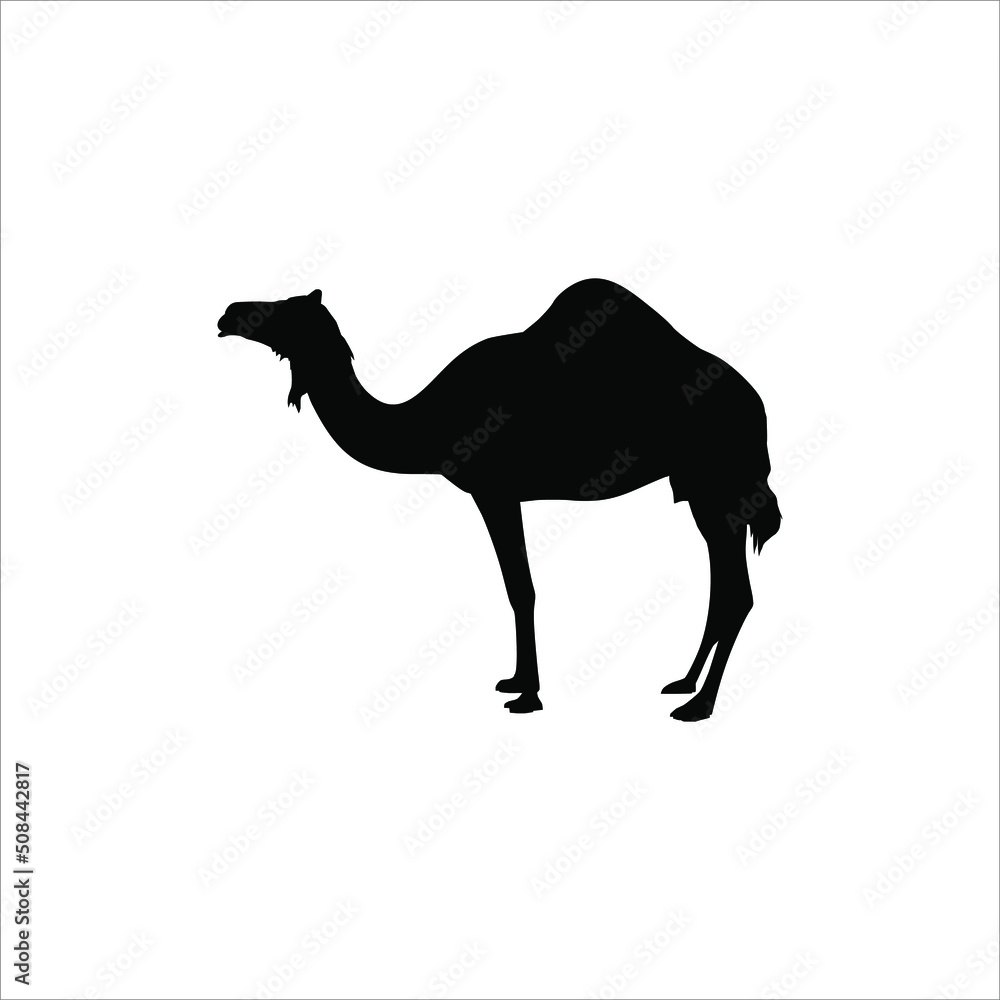Camel Silhouette for Logo or Graphic Design Element. Vector ...