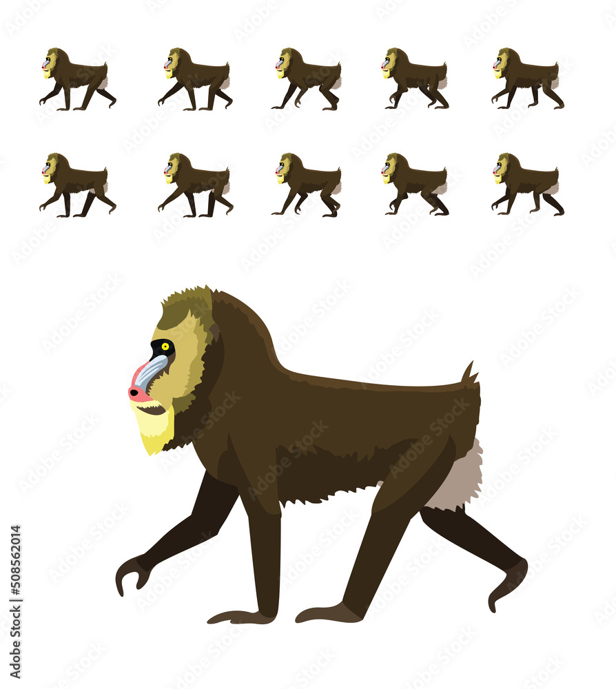 Animal Animation Primate Monkey Baboon Mandrill Moves Frame Sequence ...