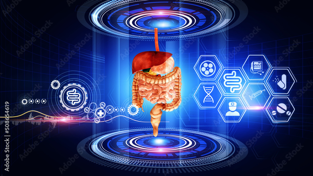 Human Digestive System Virtual Reality A virtual reality 3d graphics ...