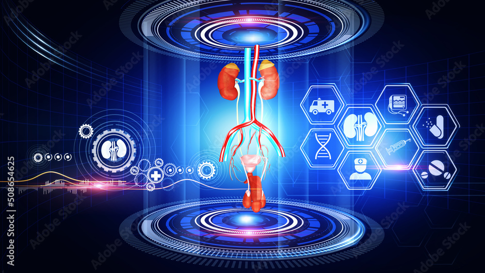 Illustration Stock Male Urinary SystemVirtual Reality A virtual reality ...