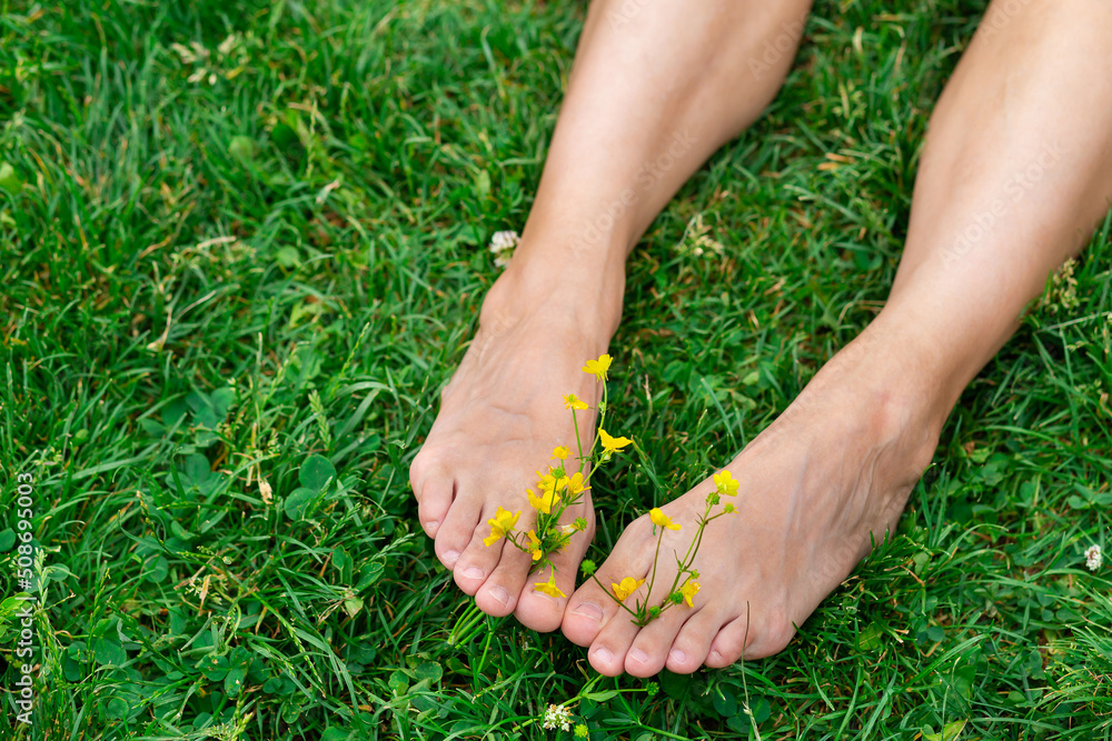 Barefoot female feet with yellow wildflowers between the toes against ...