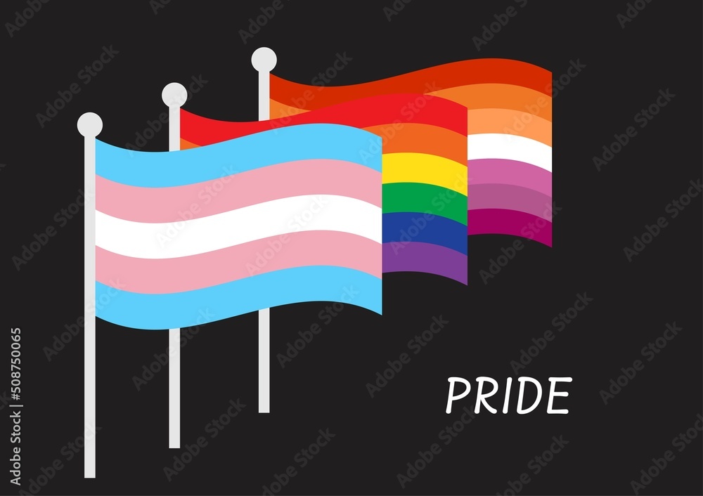 Multicolored flags celebrating pride month. LGBTQ, lesbian, transgender ...