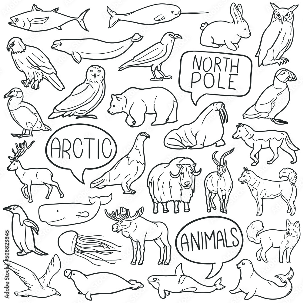 Arctic Animals Doodle Icons. Hand Made Line Art. Polar Clipart Logotype ...