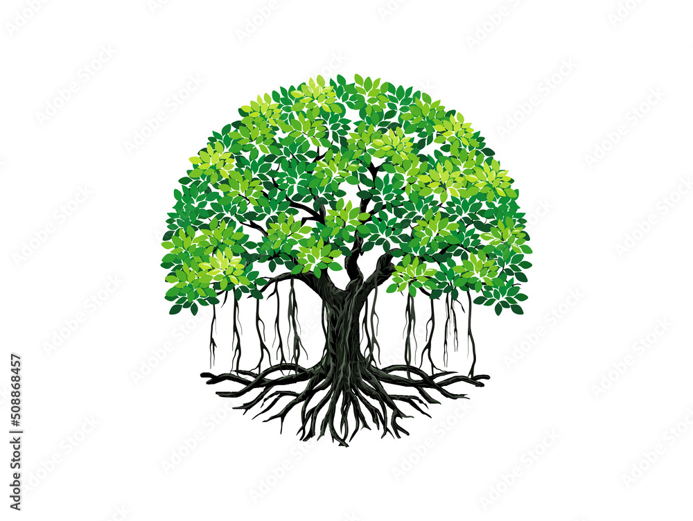 banyan tree vector illustration. tree logo in circular shaped. Stock ...