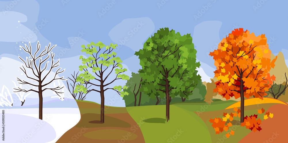 Maple tree at four seasons: spring, summer, autumn, winter. Landscape ...