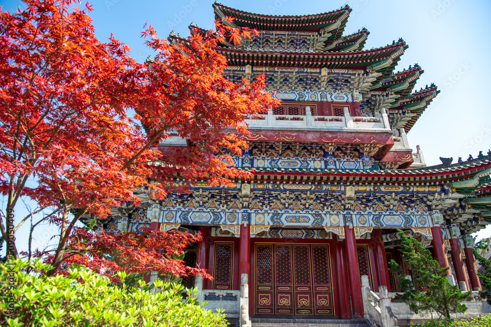 Traditional Chinese temple and the red leaves of the Japanese maple in ...