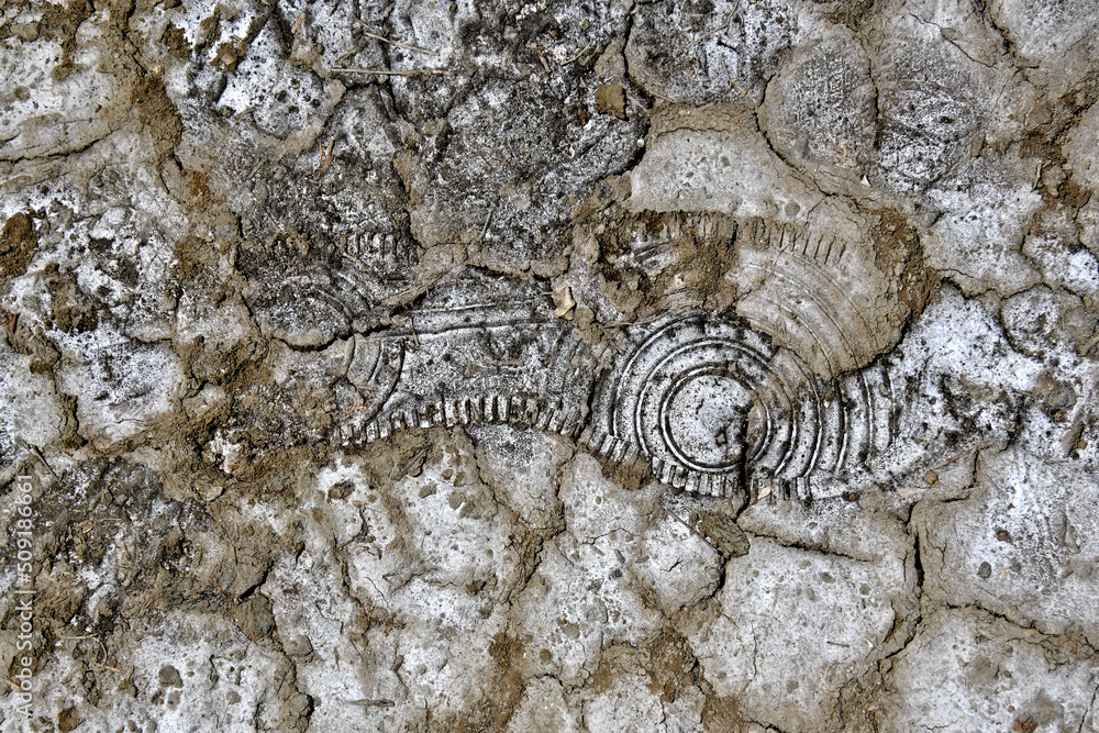 “Age of the Tennis Shoe”. When a new layer of sediment buries the ...