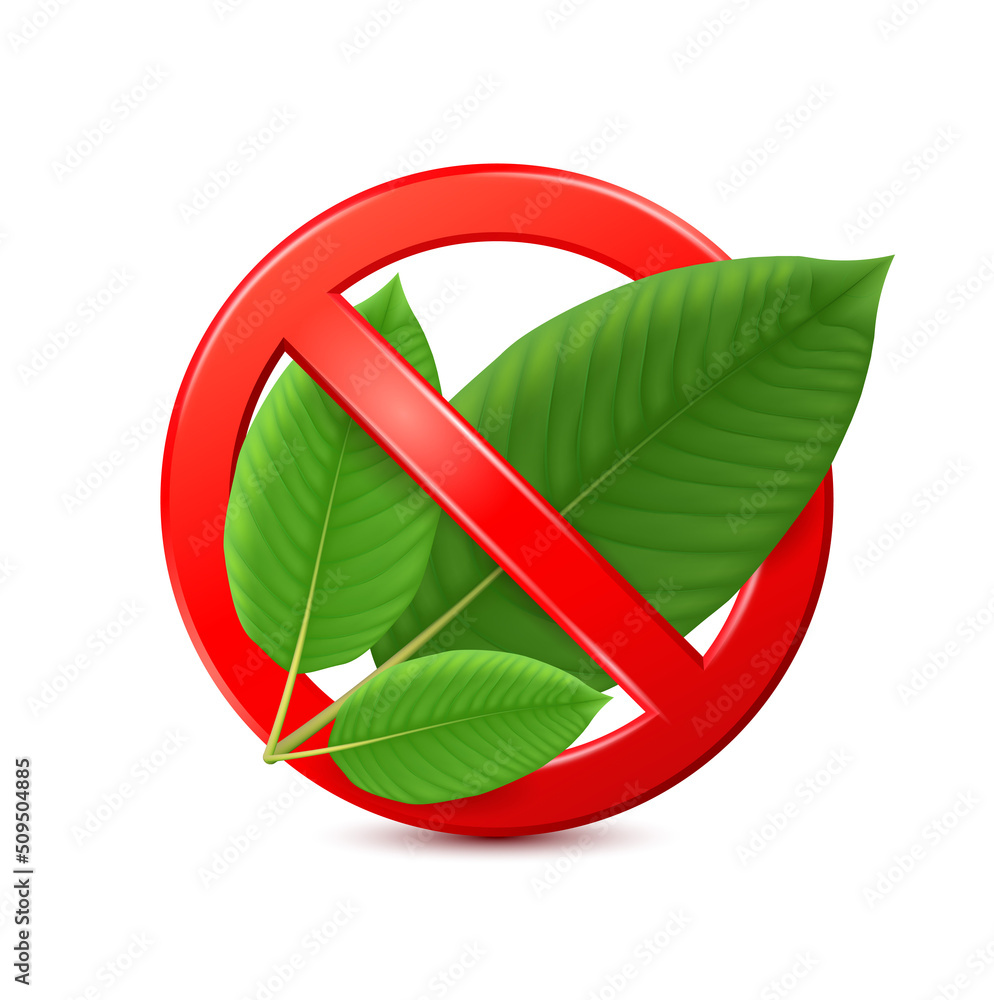Green Kratom leaf (Mitragyna speciosa) inside red banned sign ...