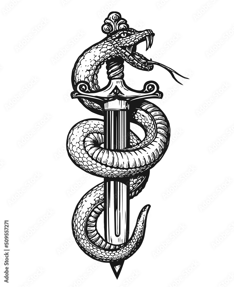 Hand drawing snake wrapped around dagger. Tattoo vector illustration in ...