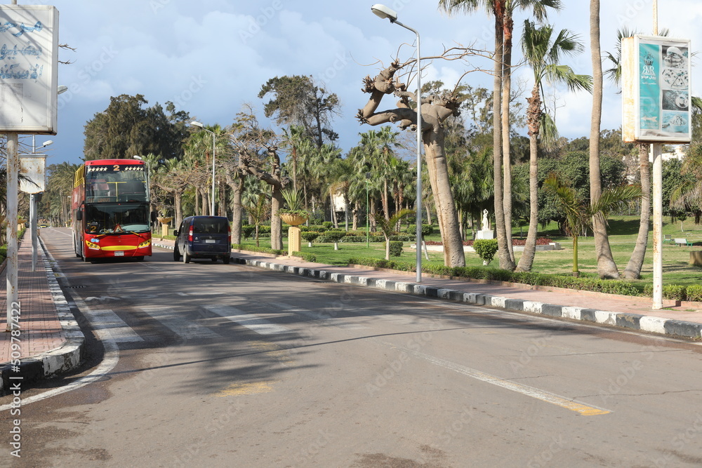 Scenic view with double decker red bus on the road near palm trees ...