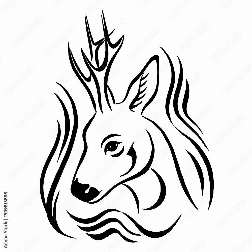 Head of a roe deer vector portrait animal antler. Hand drawn deer ...