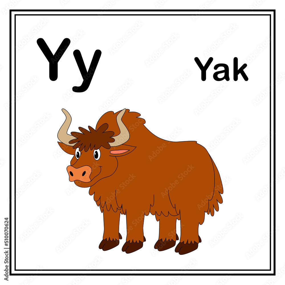 Cute children ABC animal alphabet Y letter flashcard of Yak for kids ...