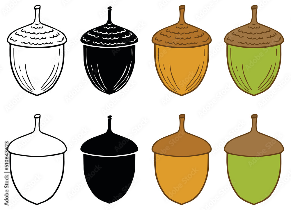 Acorn Nut Clipart Set - Outline, Silhouette and Color 스톡 벡터 | Adobe Stock