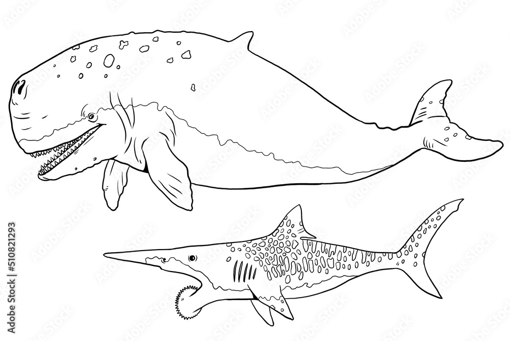 Prehistoric whale Livyatan and shark Helicoprion. Silhouette ...